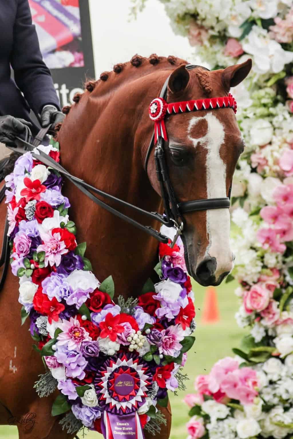 Event News – Emma's Website